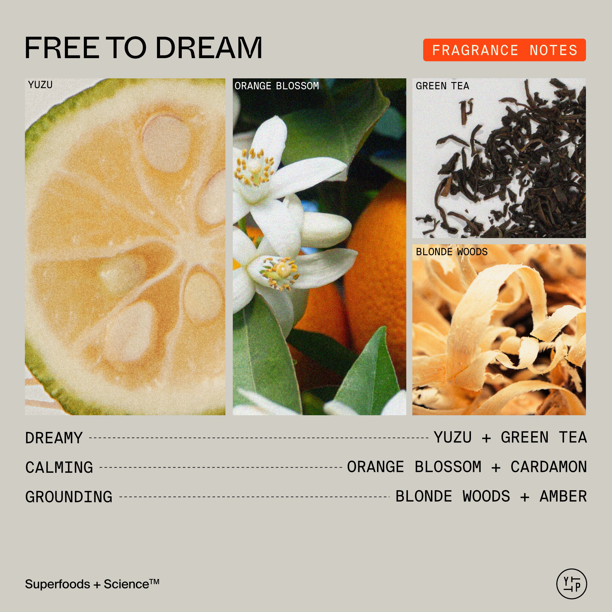 Superberry Hydrate + Glow Dream Body Butter | Youth To The People