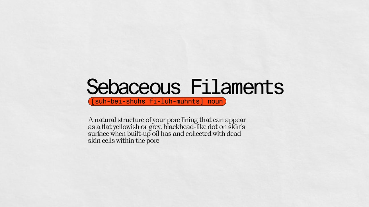 Sebaceous Filaments